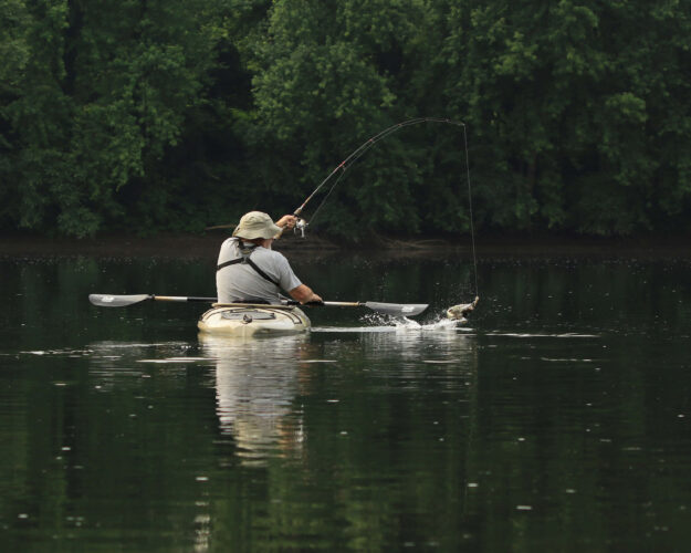 Summer spectacle on the Susquehanna features white mayflies | News ...